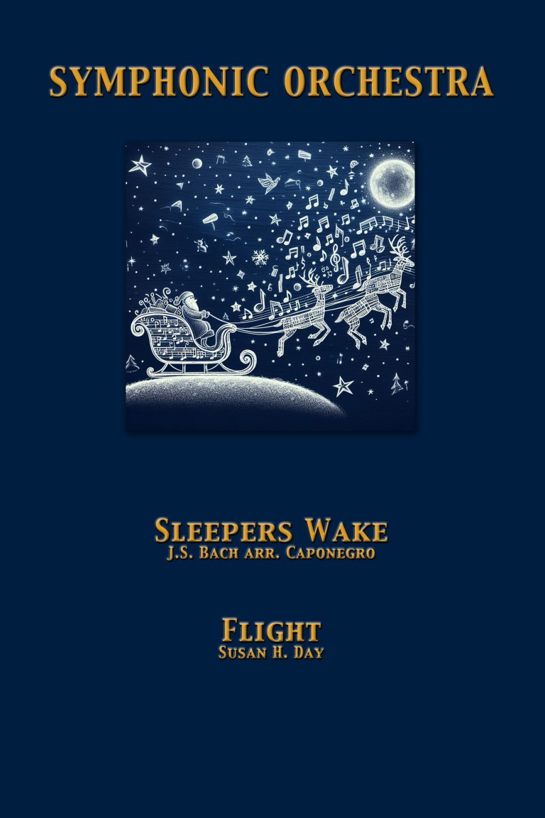 Hebron HS Orchestra | Music Can Change The World